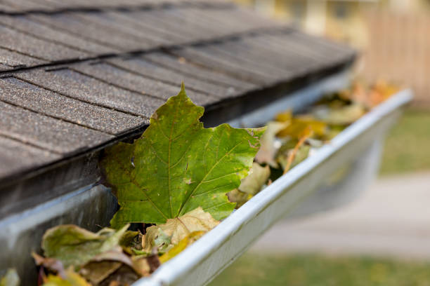 Professional Gutter Cleaning in Jasper, IN | Call (419) 548-4880