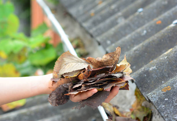Professional Gutter Cleaning in Jasper, IN | Call (419) 548-4880